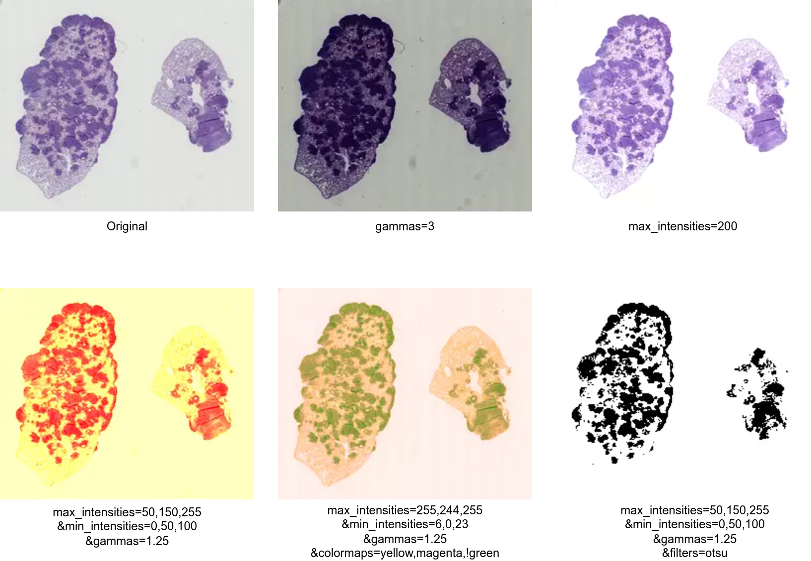 Cytomine Documentation